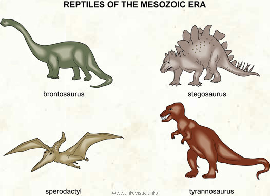 Mesozoic (Visual Dictionary) - Didactalia: material educativo