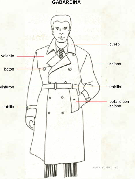 Gabardina (Diccionario visual) - Didactalia: material educativo