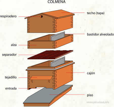 Colmena (Diccionario visual) - Didactalia: material educativo